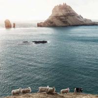 Gruppenreise - Faröer für junge Leute - Island ProTravel